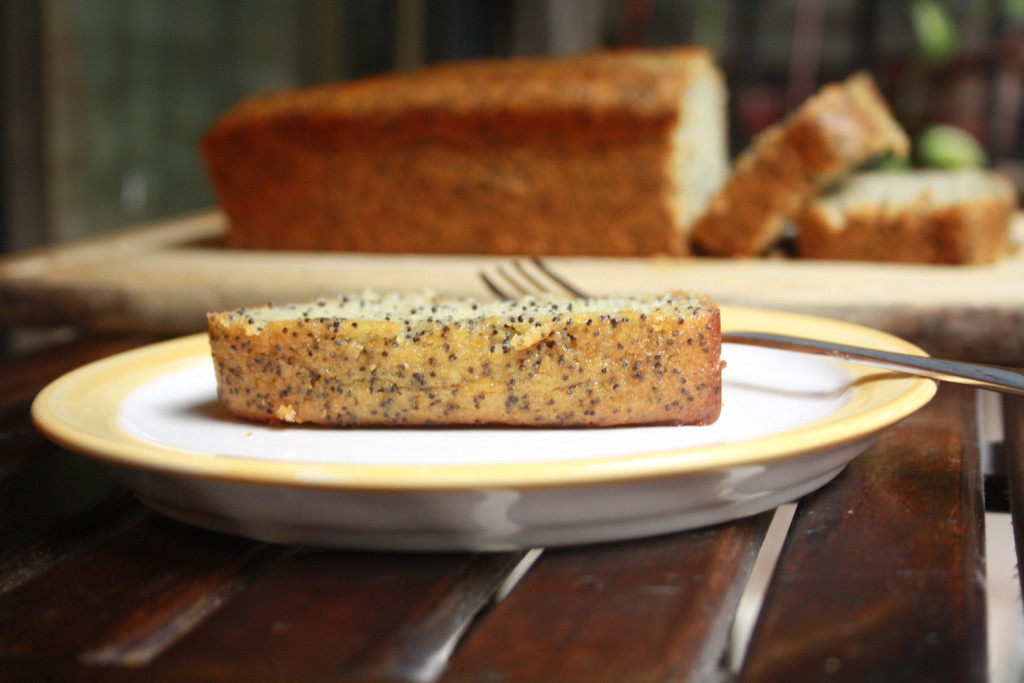 Whole Wheat Orange Poppy Seed Loaf – The Desserted Girl