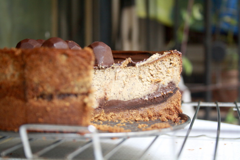 Coffee Cheesecake with Tiramisu Bon Bons – The Desserted Girl